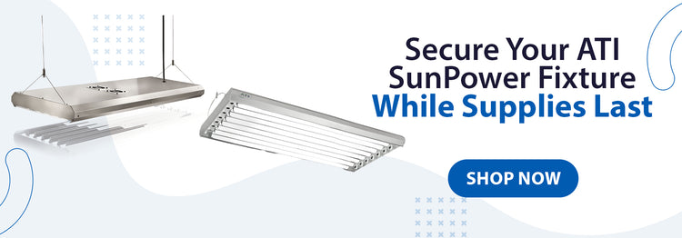 ATI North America Store